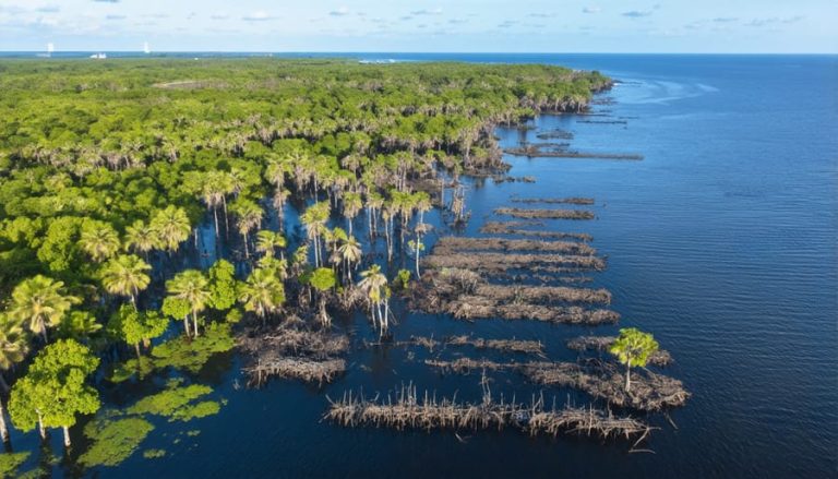 7 Devastating Ways Humans Are Destroying Marine Life (And How We Can ...