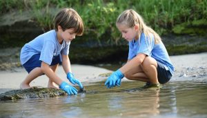 Inside the Ocean's Living Networks: Why Underwater Ecosystems Matter ...
