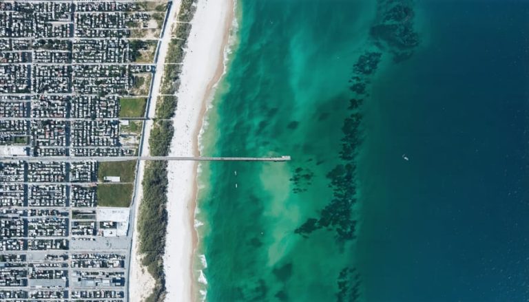 Coastal Cities Are Silently Destroying Marine Life (Here's What's at ...