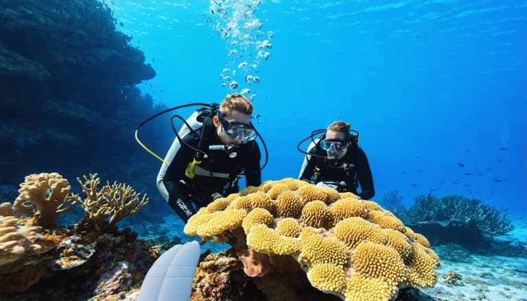 How Marine Conservation Organizations Are Saving Our Ocean's Most ...